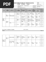 Formato (AMEF) Proceso | PDF