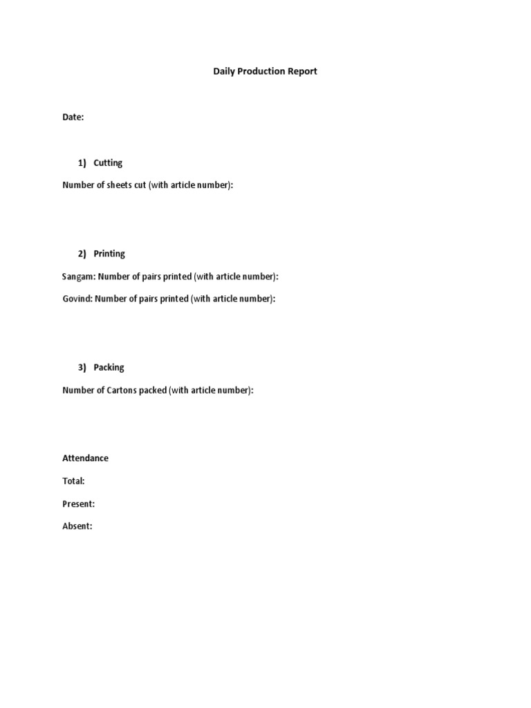 Daily Production Report | PDF