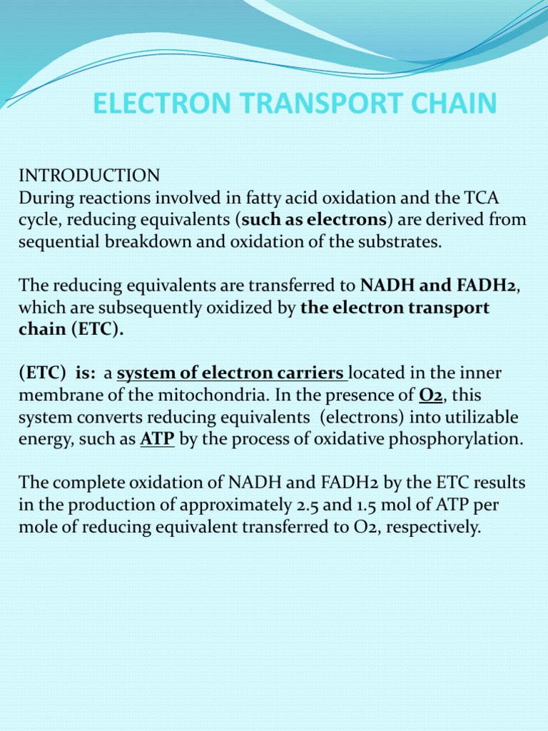 Electron Transport Chain: Chain (ETC) - (ETC) Is: A System of Electron ...