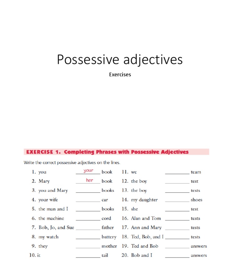Possessive Adjectives Exercises | PDF