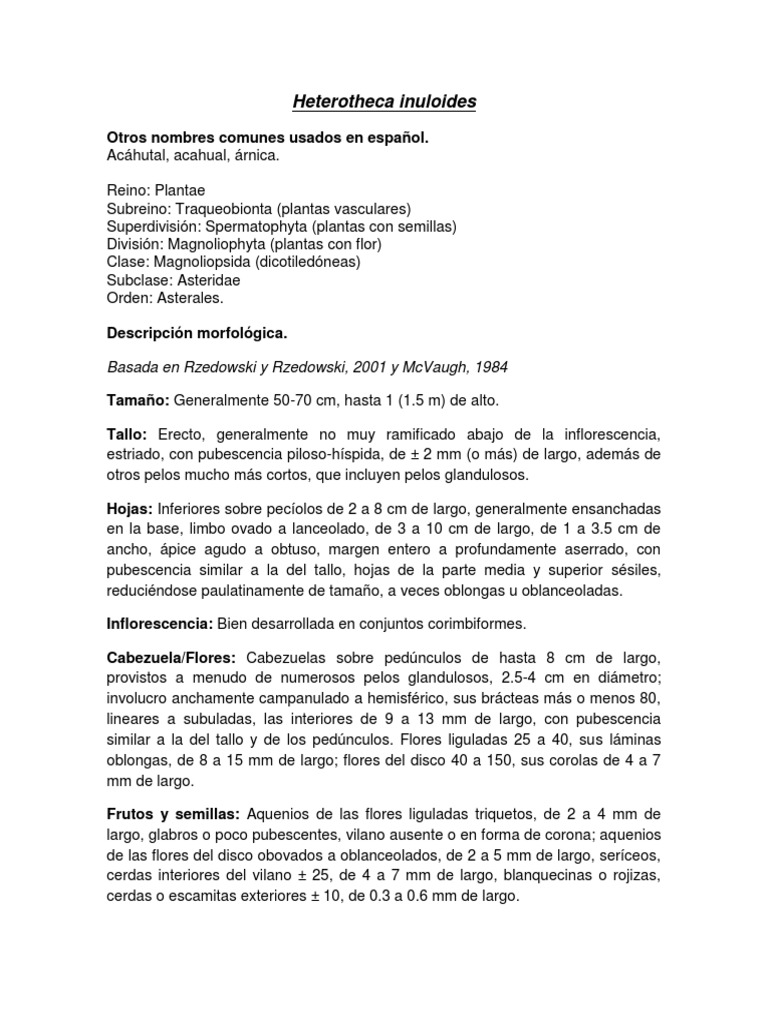 Heterotheca inuloides: Ficha técnica y usos | PDF | Hoja | Botánica