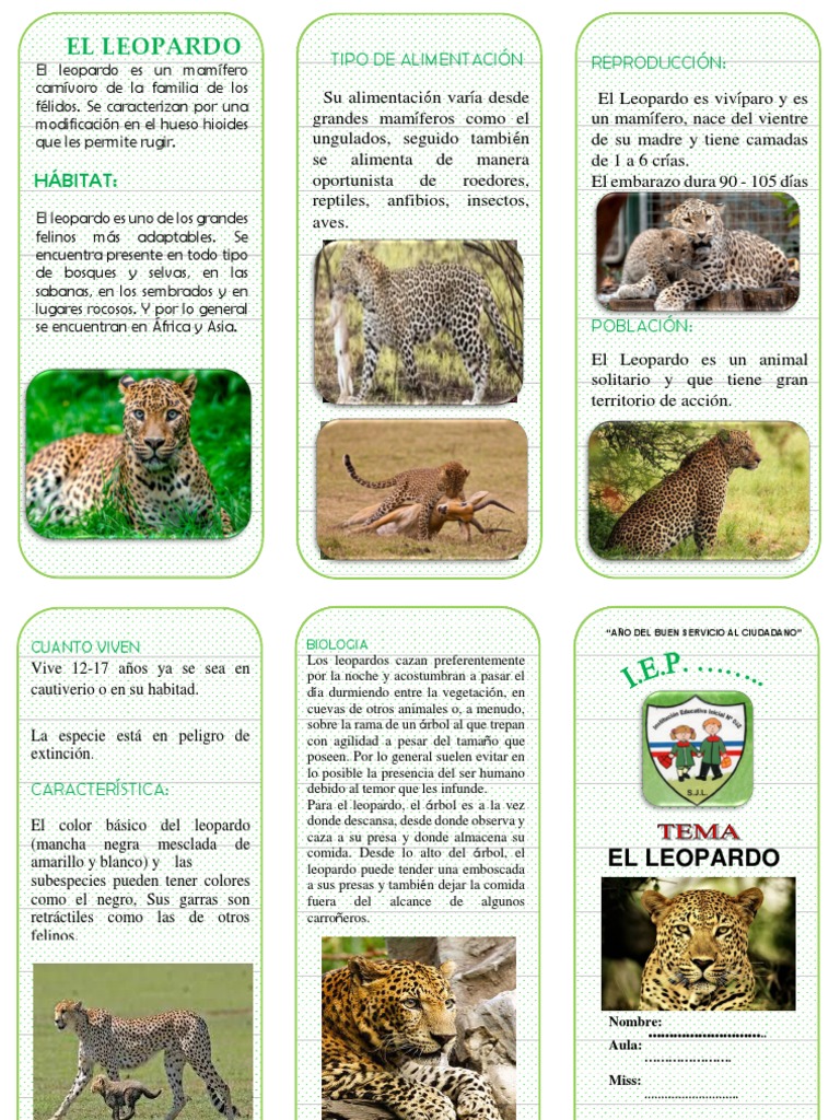 Triptico Del Leopardo | PDF | Leopardo | Organismos