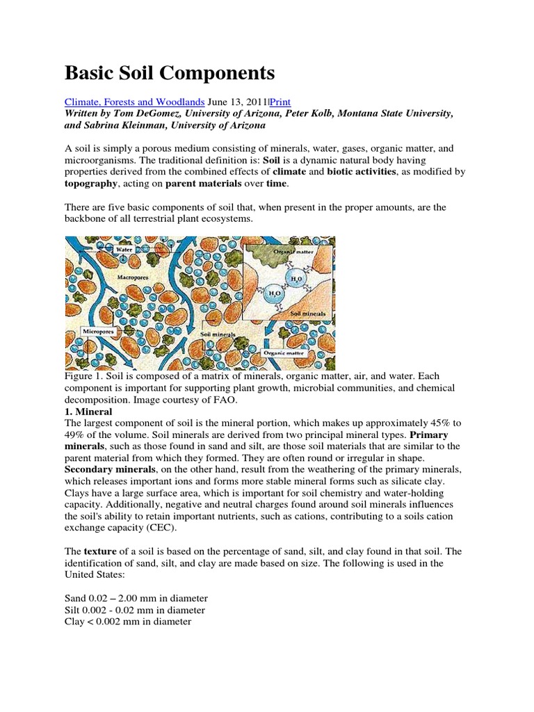 Basic Soil Components | PDF | Organic Matter | Soil