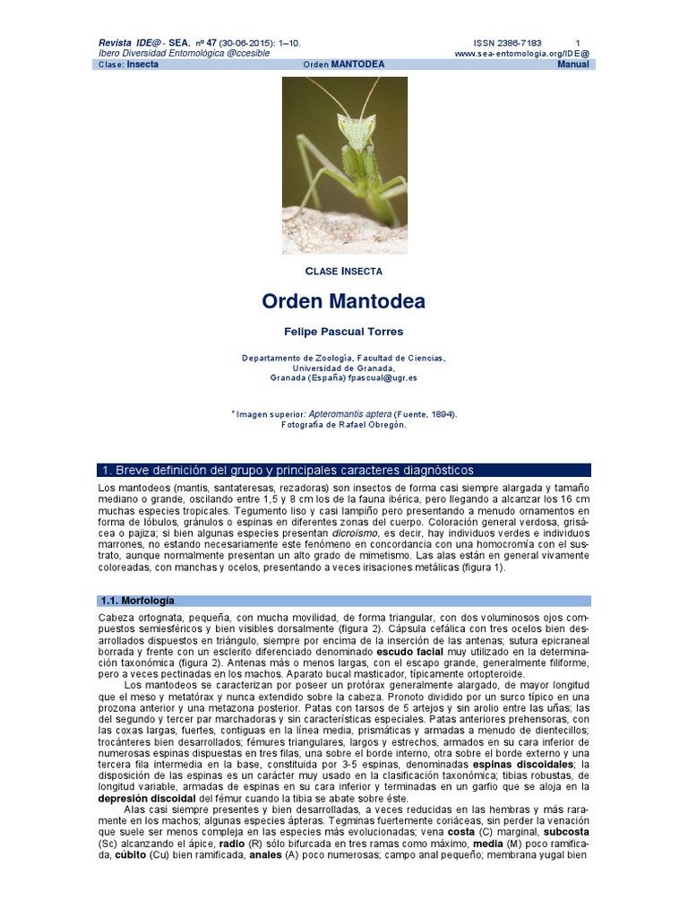 Revista 47 | PDF | Insectos | Huevo