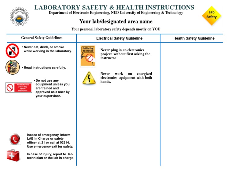 Electronic Lab Safety | PDF