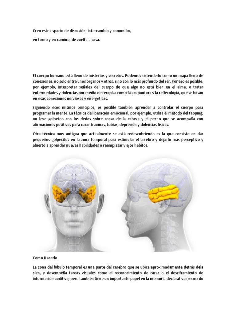 Tapping Temporal | PDF | Lóbulo temporal | Cerebro