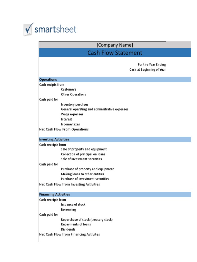 Cash Flow Statement: (Company Name) | PDF | Debits And Credits | Loans