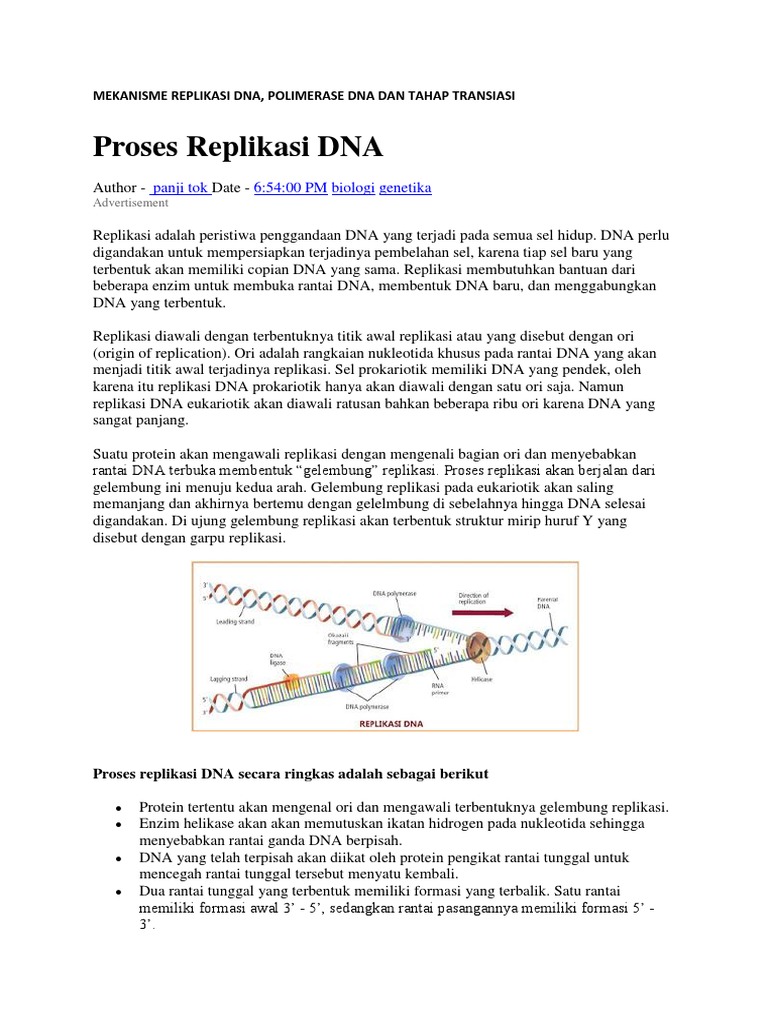 Mekanisme Replikasi Dna | PDF