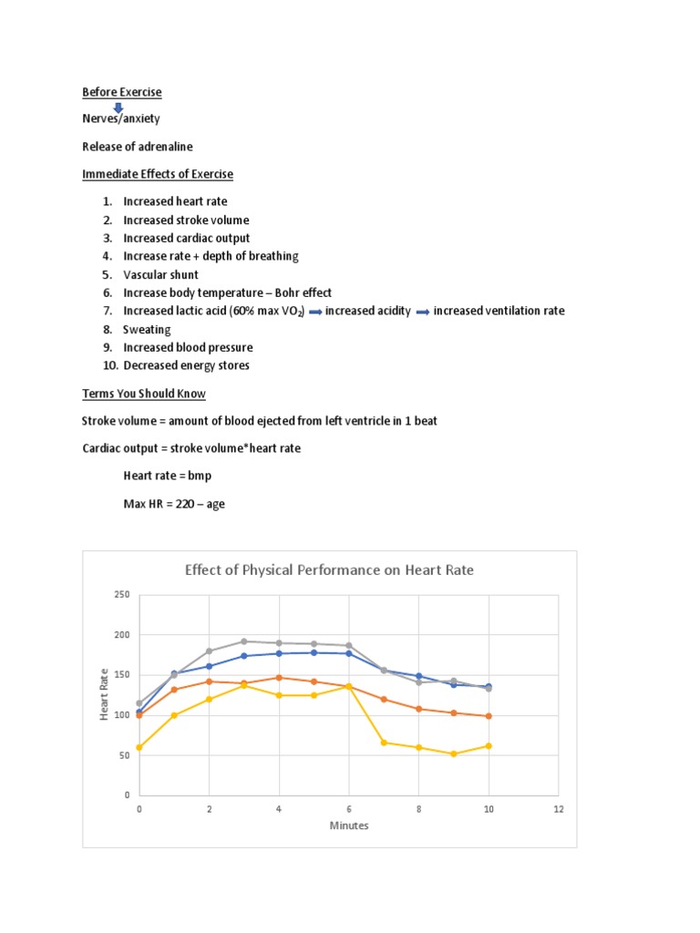 Kinesiology Notes | PDF