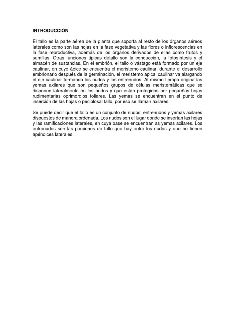 Anatomía del Tallo y Falogeno | PDF | Tallo de la planta | Raíz