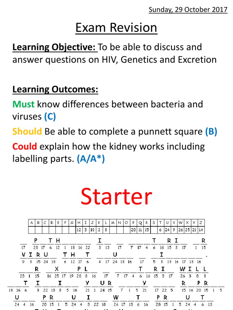 Y11 Bio Exam Revision | PDF | Kidney | Hiv/Aids