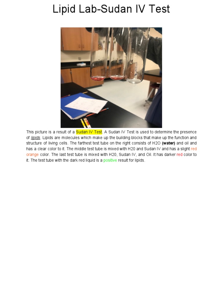Lipid Lab-Sudan IV Test 1 | PDF