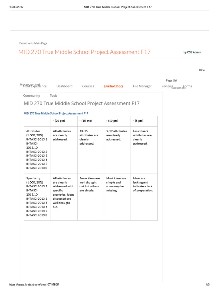 True Middle School Project Rubric | PDF | Educational Assessment | Learning