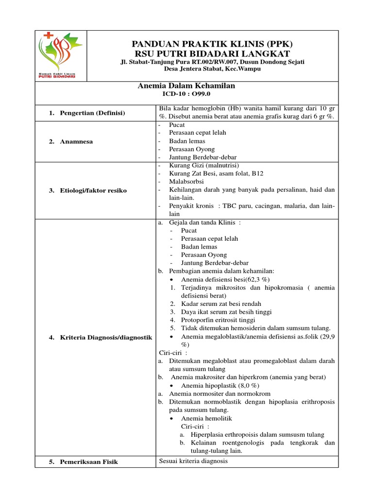 PPK Anemia Dalam Kehamilan | PDF