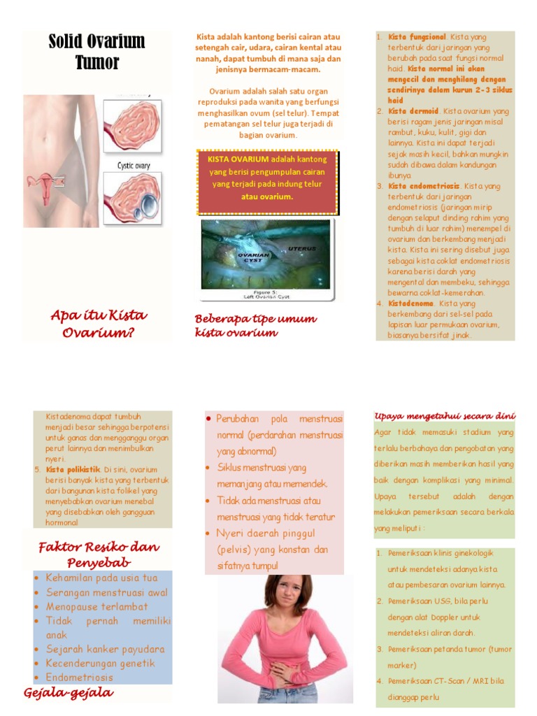 Contoh Leaflet | PDF