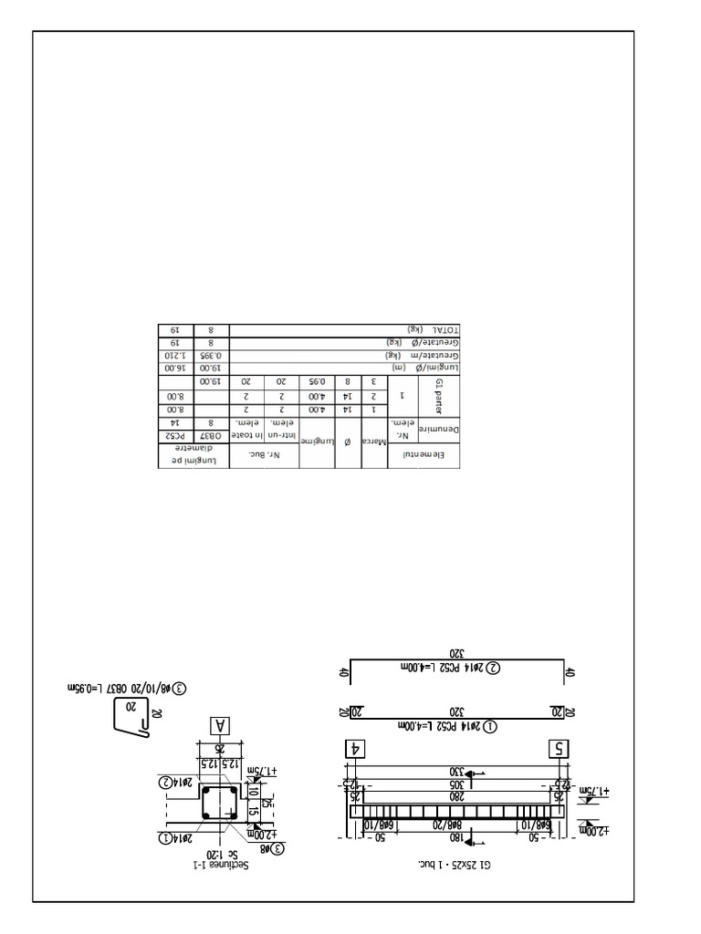 Plan Cofraj Si Armare Grinda 25x25
