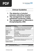 Schmid Fall Risk Assessment Tool - Acute Care | PDF | Patient ...