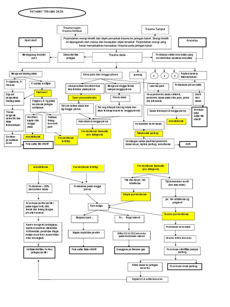 Pathway Trauma Dada | PDF