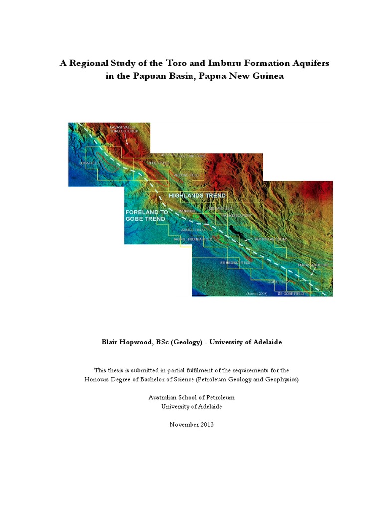 Seapex Report of Papuan Basin | PDF | Sedimentary Basin | Sedimentary Rock