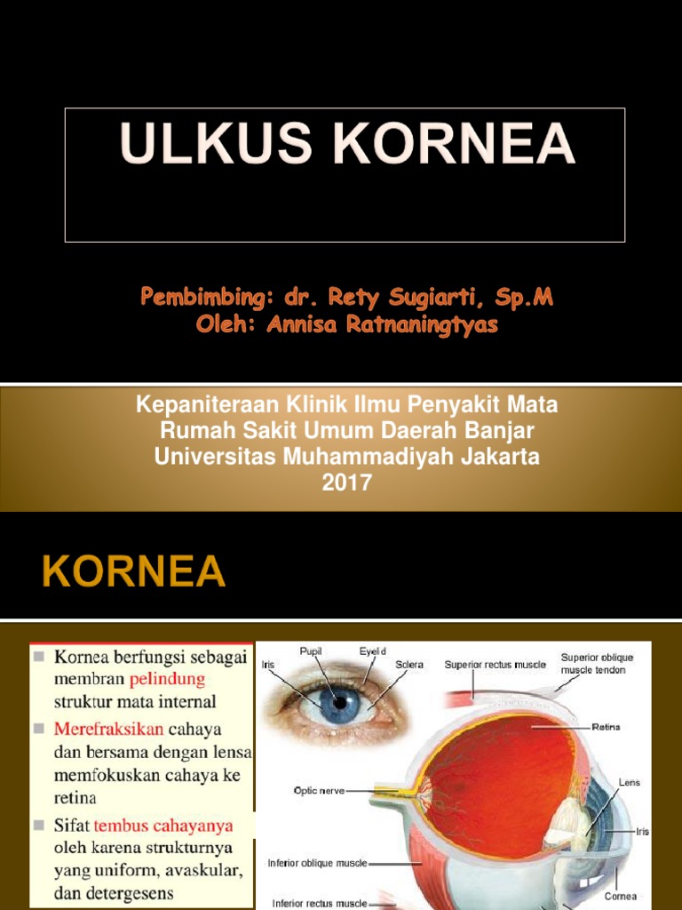 Ulkus Kornea | PDF