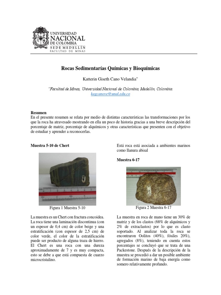 Caracterización y análisis de rocas sedimentarias químicas y ...