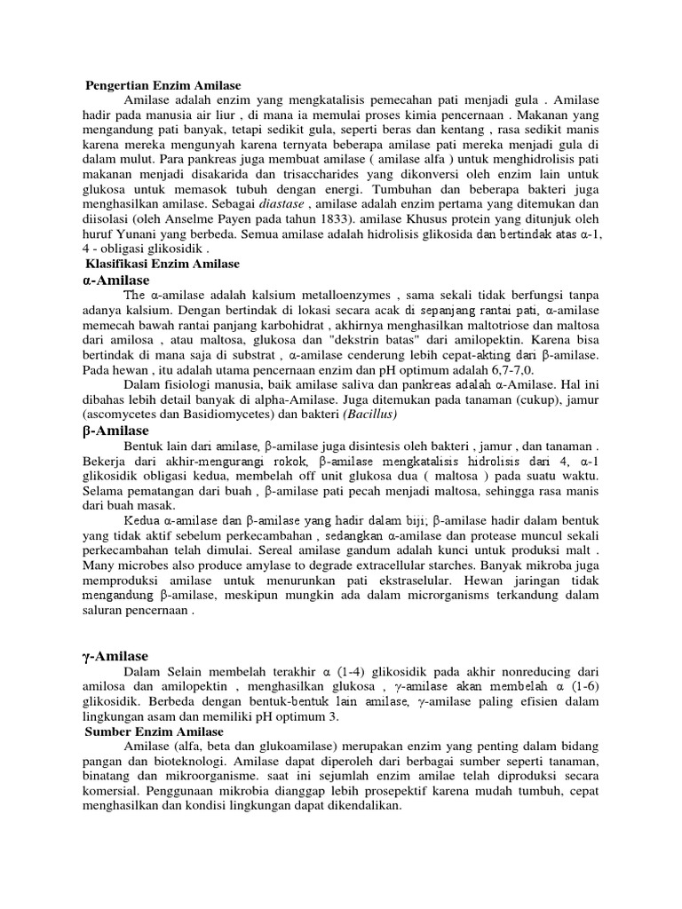 Mekanisme Kerja Enzim Amilase | PDF