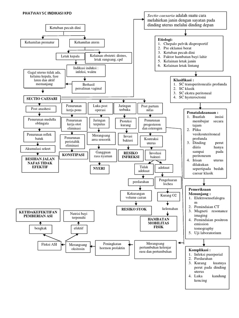 Phatway SC Indikasi KPD | PDF