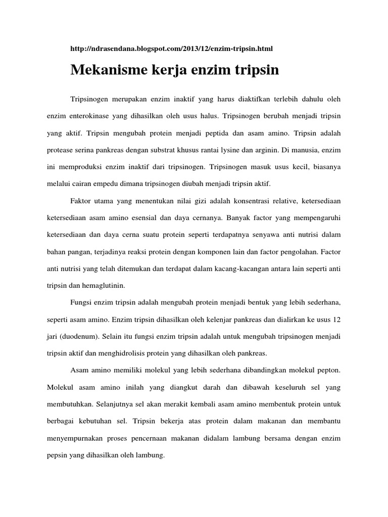 Mekanisme Kerja Enzim Tripsin | PDF
