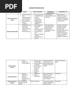 Infografia Abscesos Periapicales | PDF | Estudios de idiomas extranjeros