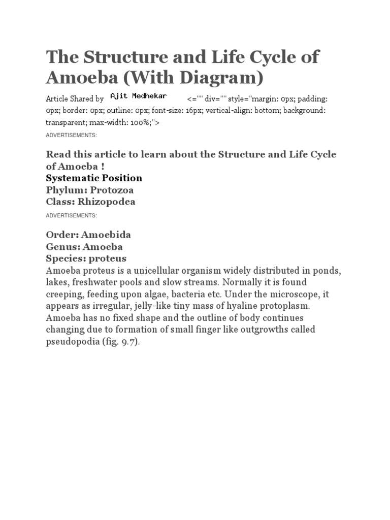 The Structure and Life Cycle of Amoeba (With Diagram) | PDF | Mitosis ...
