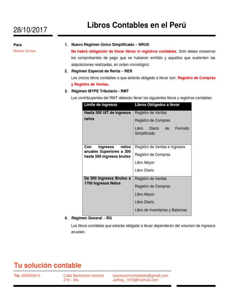 Libros Contables en El Perú | PDF | Contabilidad | Servicios (economía)