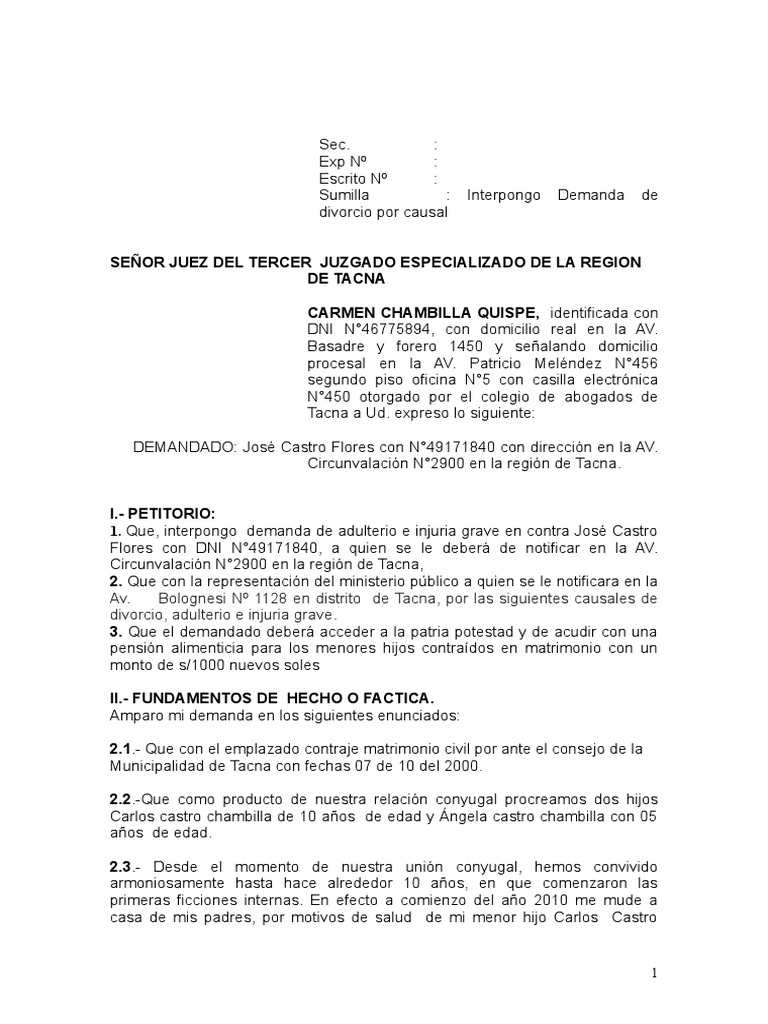 Escrito de Demanda David | PDF | Divorcio | Demanda judicial