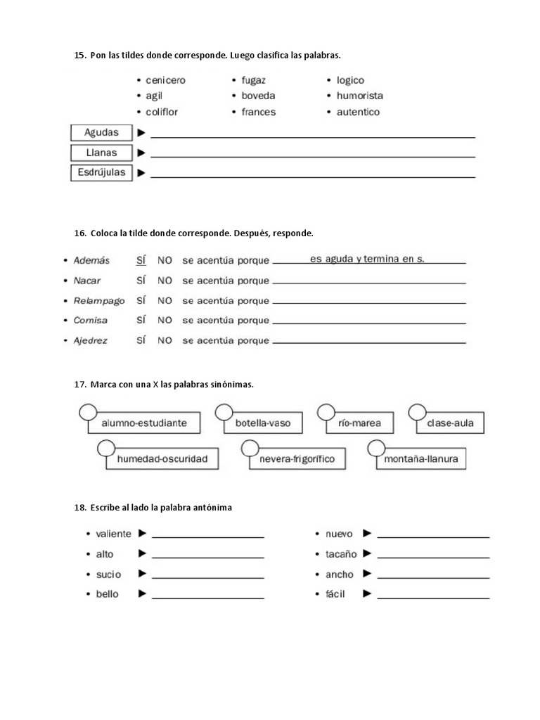 Lengua 5 Primaria | PDF