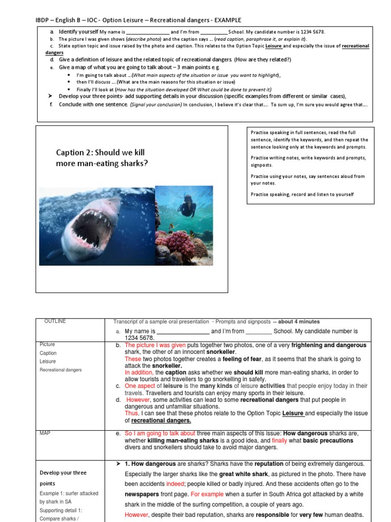 IBDP English B IOC Leisure Example Sharks | PDF | Underwater Diving ...