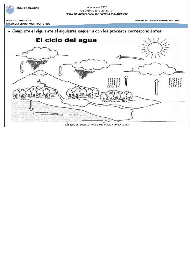 El Ciclo del Agua Hojas de trabajo Clave de respuestas - Educational ...