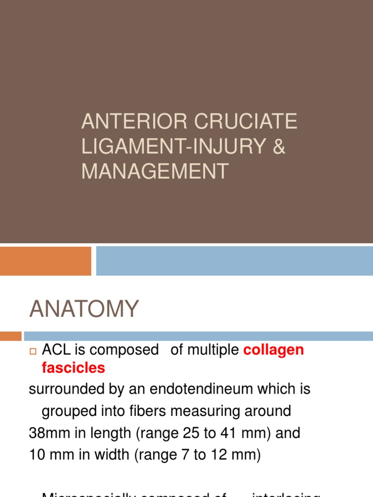 Anterior Cruciate Ligament-Injury & Management | PDF | Knee | Limbs ...