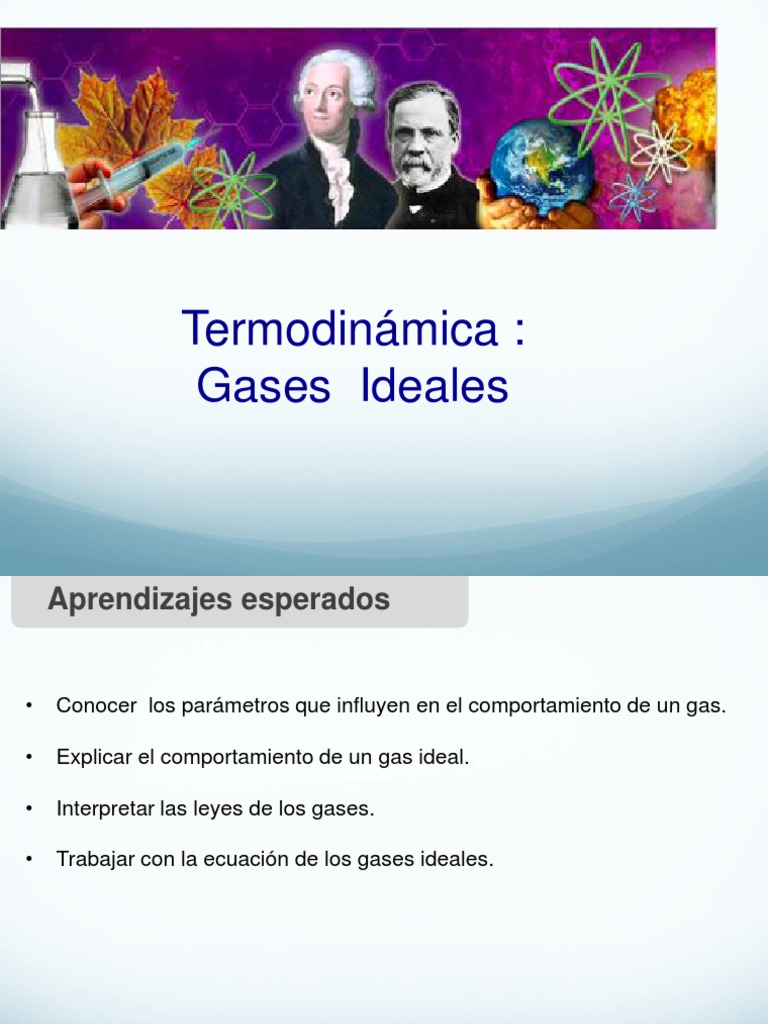 Termodinamica Gases Ideales | PDF | Gases | Mole (Unidad)