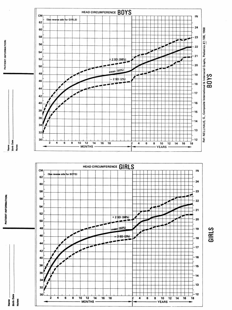 Kurva Lingkar Kepala Nellhaus.pdf