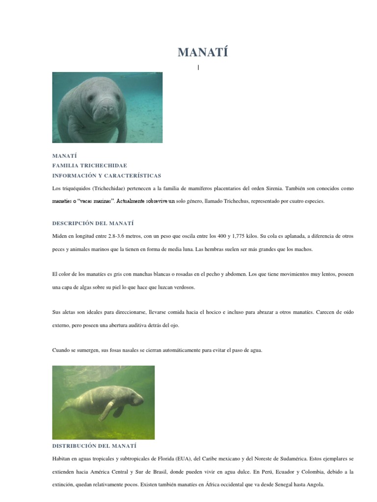 MANATÍ | PDF | Organismos | Naturaleza