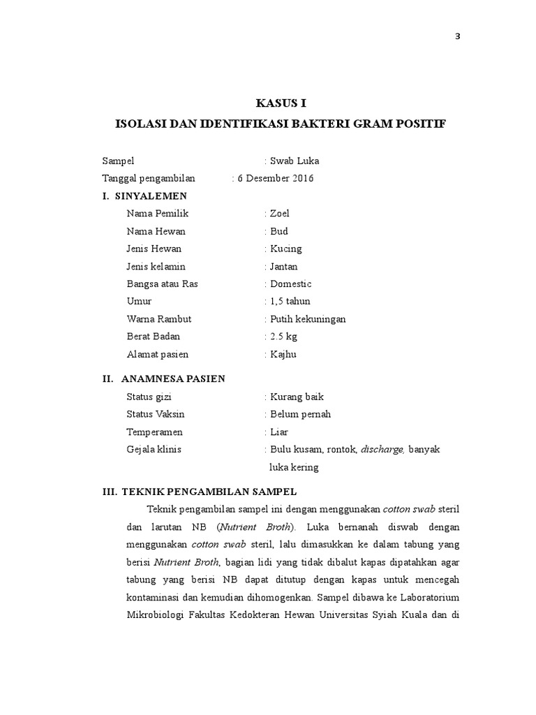 MIKROBIOLGI: Identifikasi Staphylococcus Aureus Dan Uji Sensitifitas ...