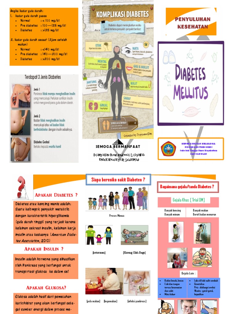 Leaflet DM PDF | PDF