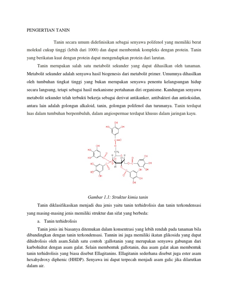 Pengertian Dan Kegunaan Tanin | PDF