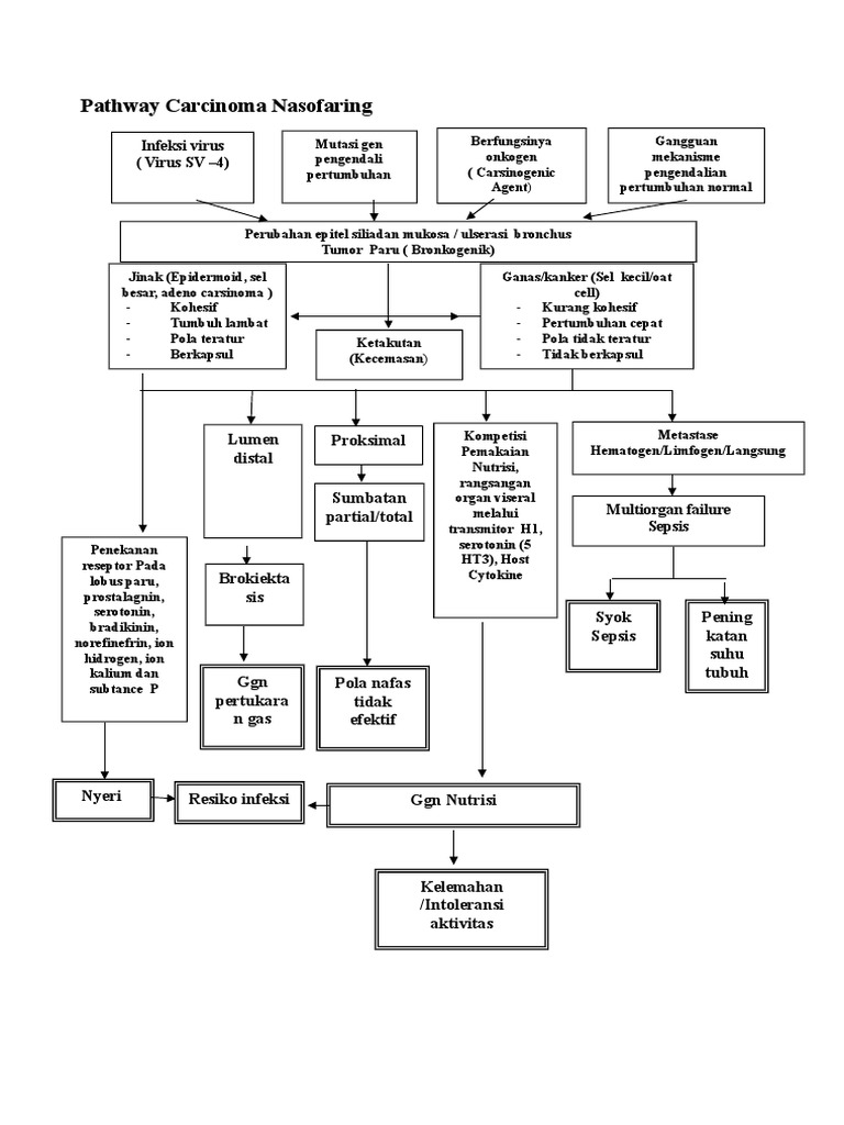 Pathway Carcinoma Nasofaring | PDF