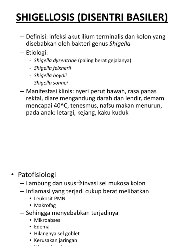 Shigellosis (Disentri Basiler) | PDF