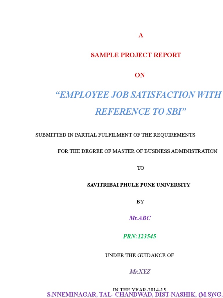 Sample Project Report | PDF | Job Satisfaction | Contentment