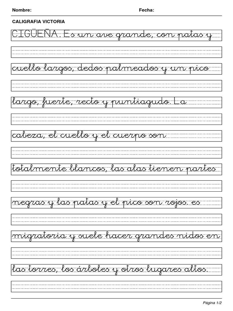 Caligrafia Vict 2 | PDF | Hogar, jardinería y bricolaje | Ciencia y ...