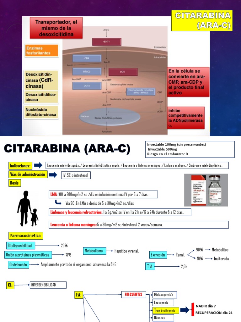 Guía de Uso de Citarabina | PDF | Medicina CLINICA | Especialidades Medicas