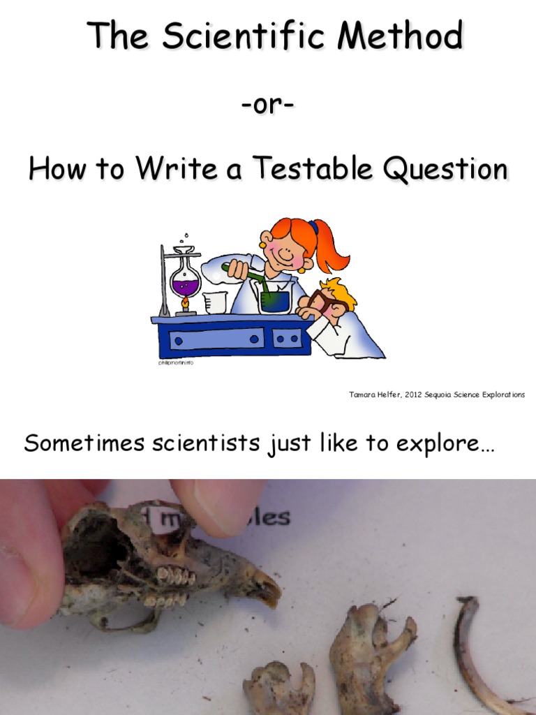 How To Write A Testable Question | PDF | Experiment | Scientific Method