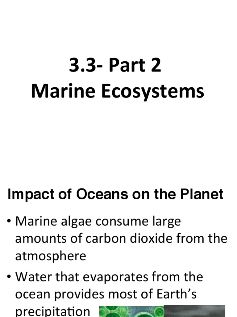 3-3 Marine Ecosystems | PDF