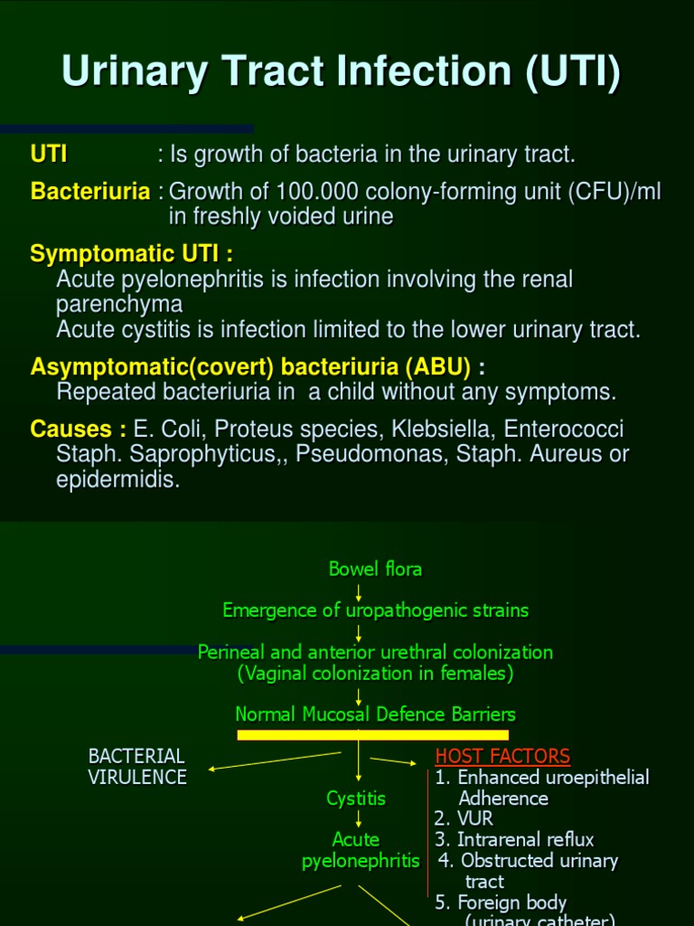 Understanding Urinary Tract Infections | PDF | Urinary Tract Infection ...